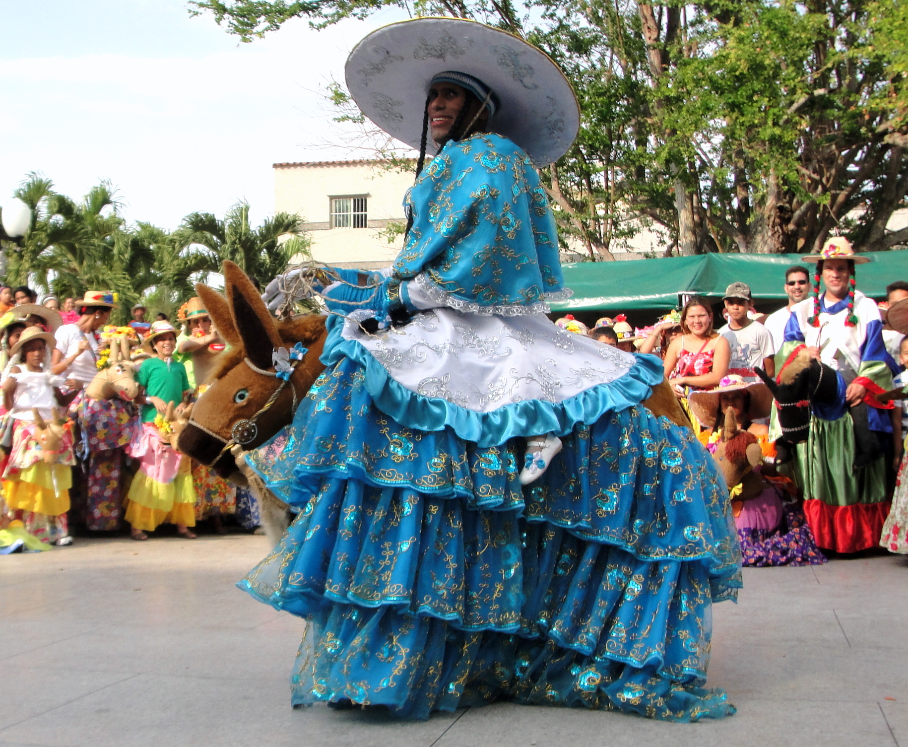 EN FOTOS: Encuentro nacional de burras, burriquitas y pollinos ...