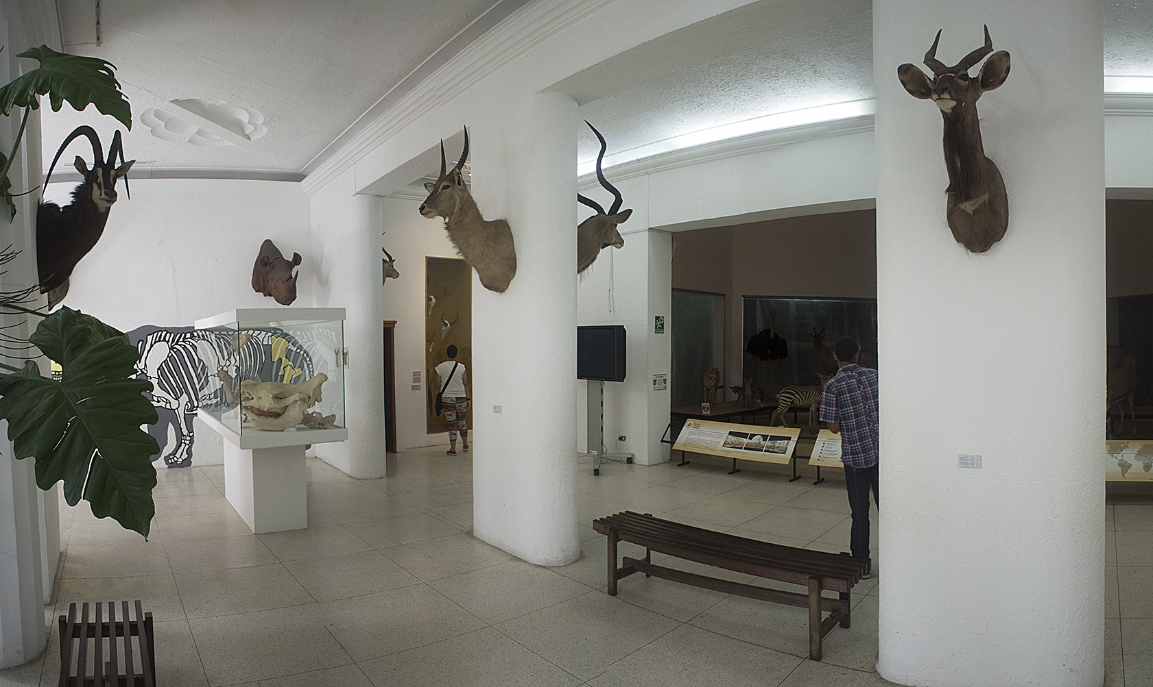 El Museo de Ciencias renueva sus espacios expositivos - Alba Ciudad 96.3 FM