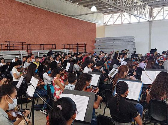 Músicos viajan desde Apure para participar en concierto con 12 mil ...